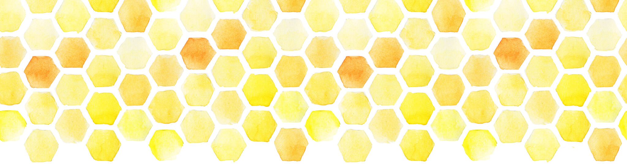 The Buzz Book – A Guide to the very best in Northwest Ohio