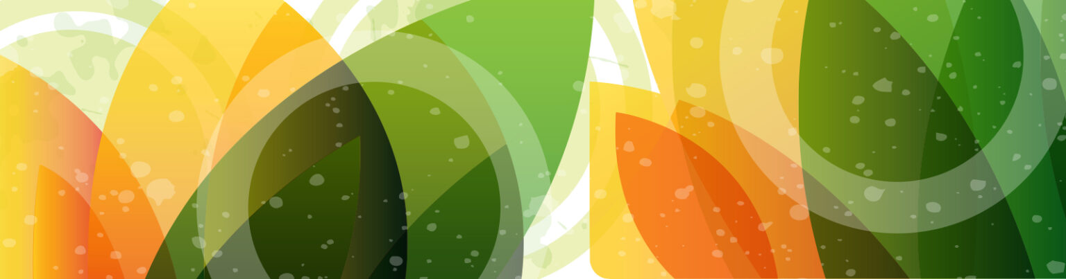 The Buzz Book – A Guide to the very best in Northwest Ohio